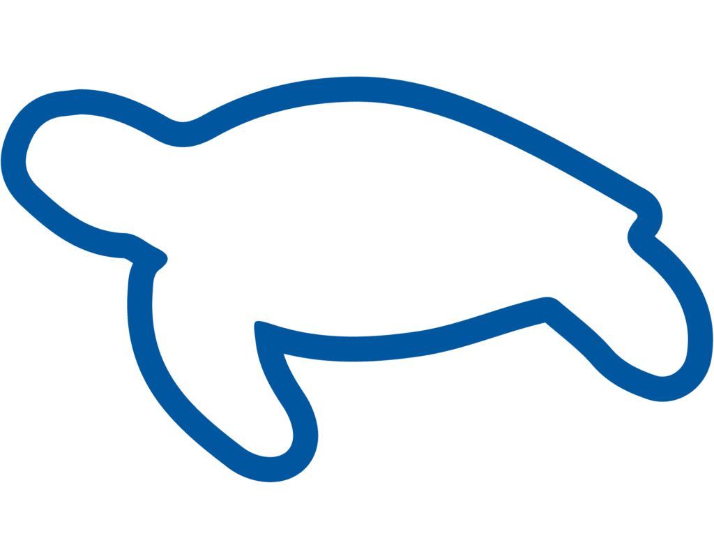SeaSafe - Project SeaSafe