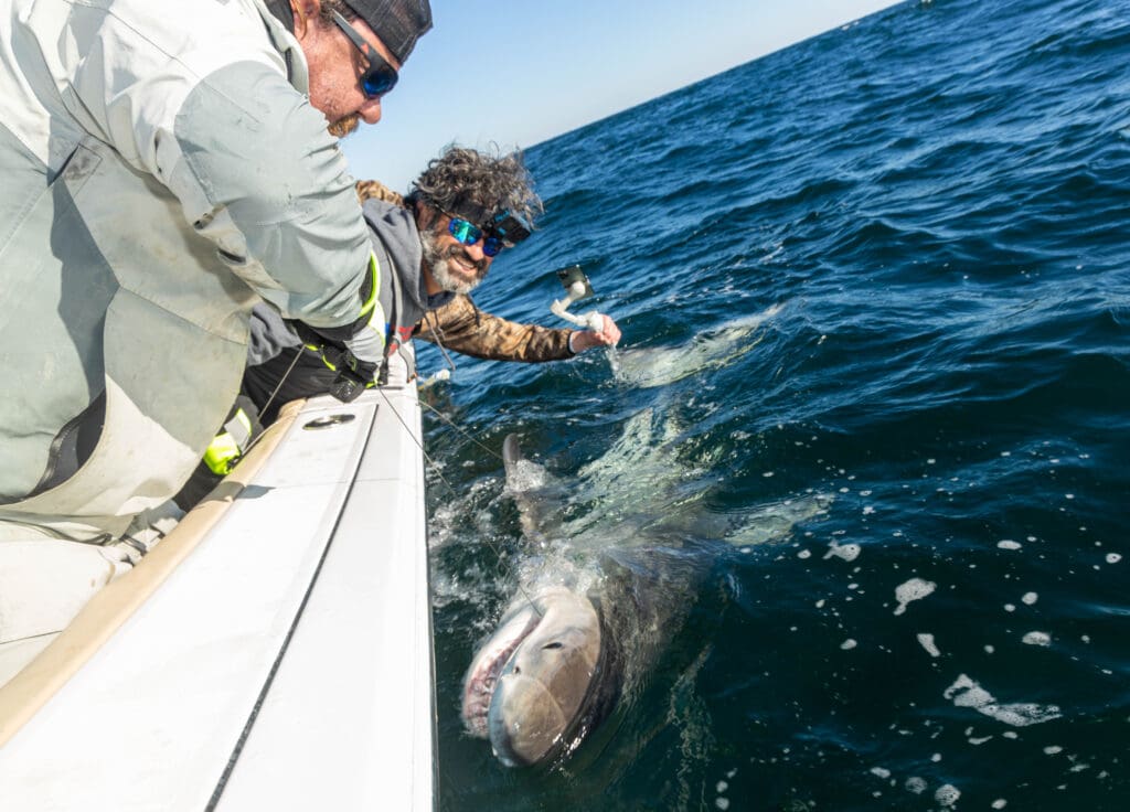 A Ranger Remembered: Jason Dahlke's Spirit Swims with the Sharks ...